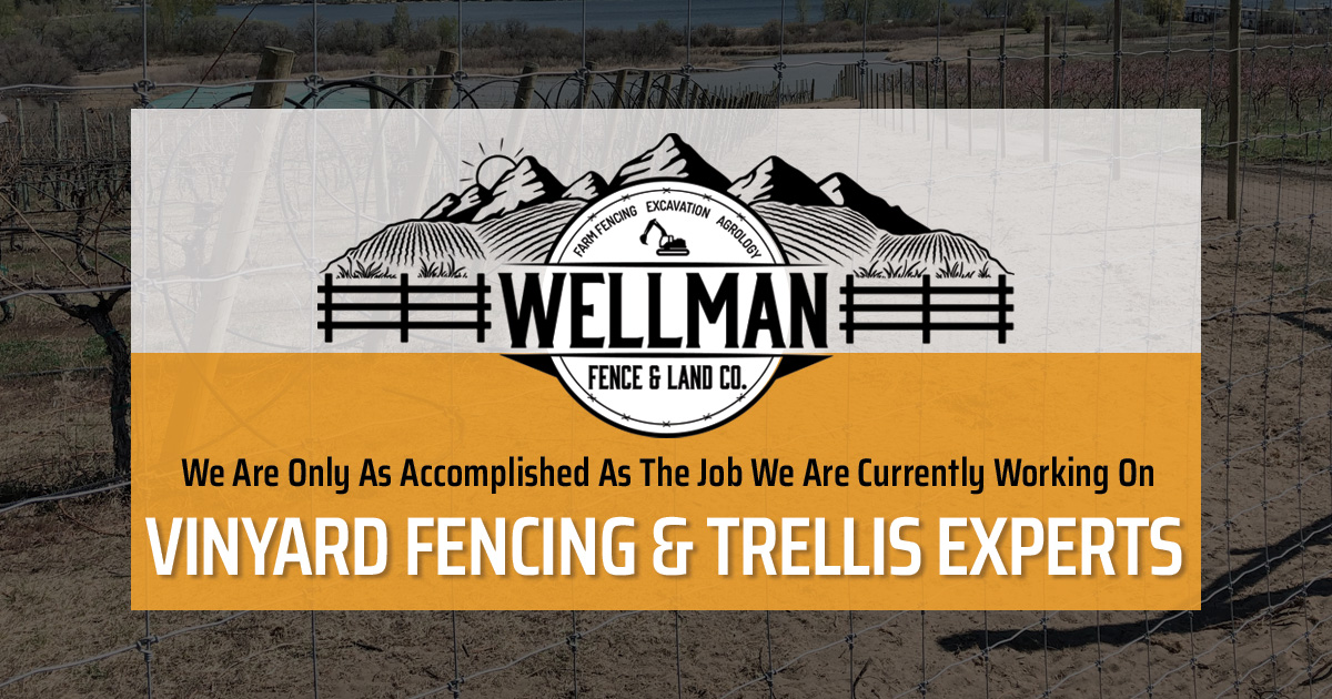 Vineyard Fencing and Trellis Okanagan | Wellman Fence & Land